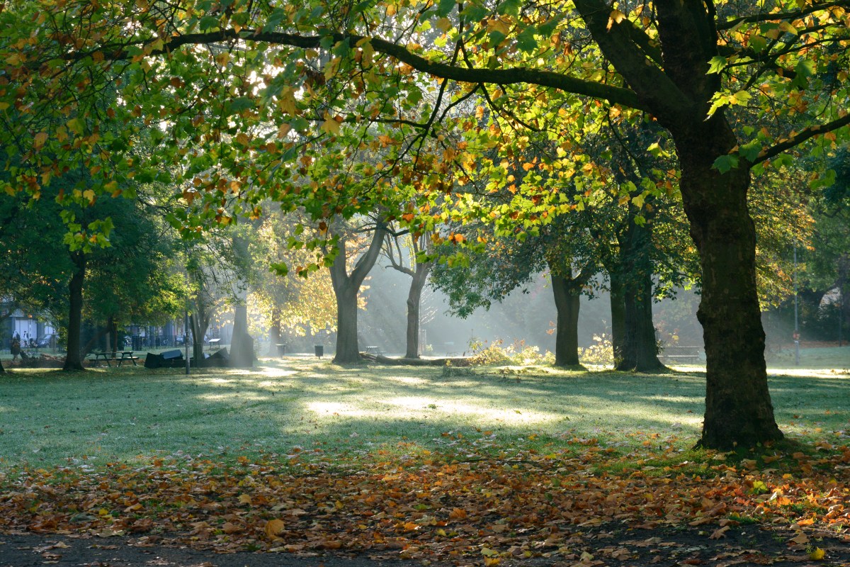 A virtual tour of Whitworth Park through the seasons – A Place Between ...