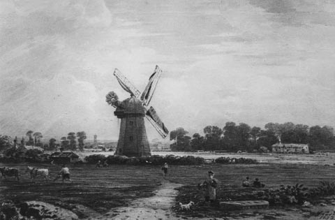 The Windmills of the Whitworth – A Place Between The Trees