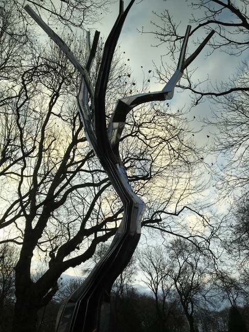 #WhitworthAdvent – 13 – Branches – A Place Between The Trees